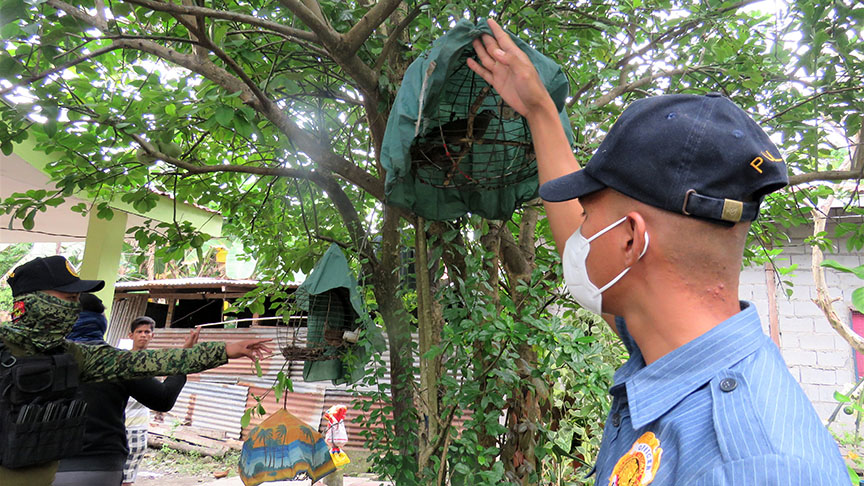 Sarangani vlogger in hot water for illegal hunting, possession of ...