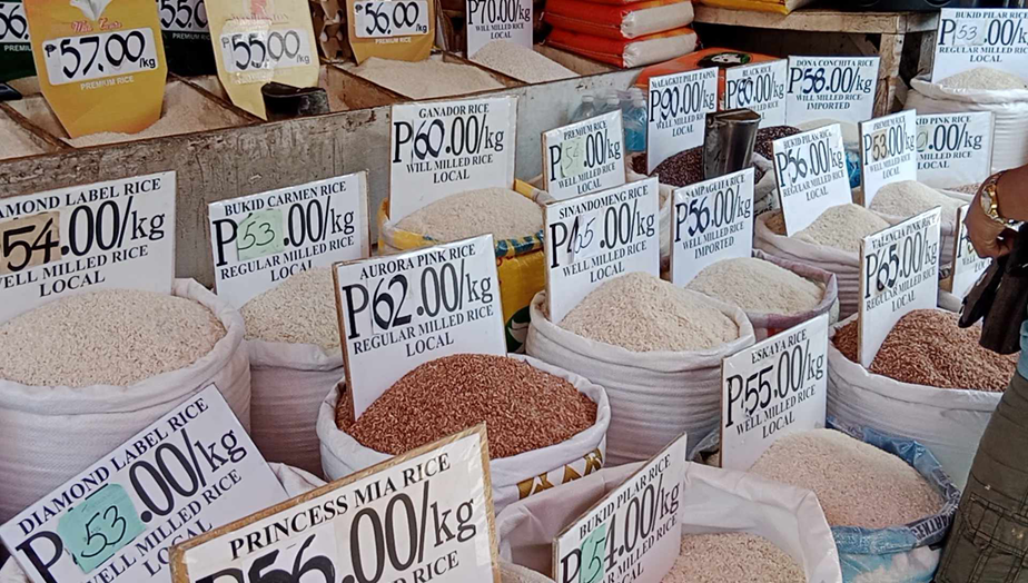 Bohol farmers cry foul over low buying price - Philippine Daily Post