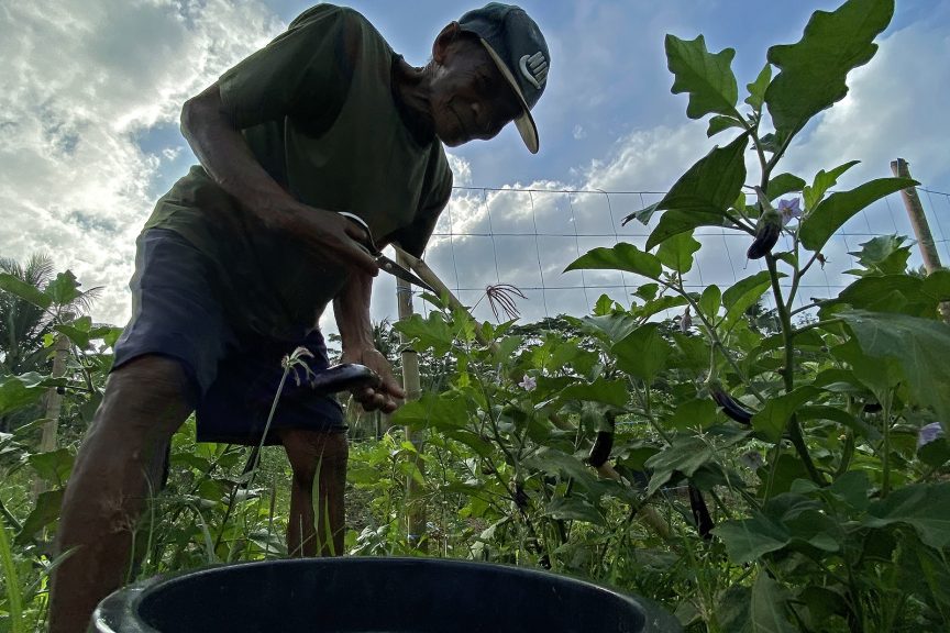 5 community projects barangay officials can replicate - Philippine ...