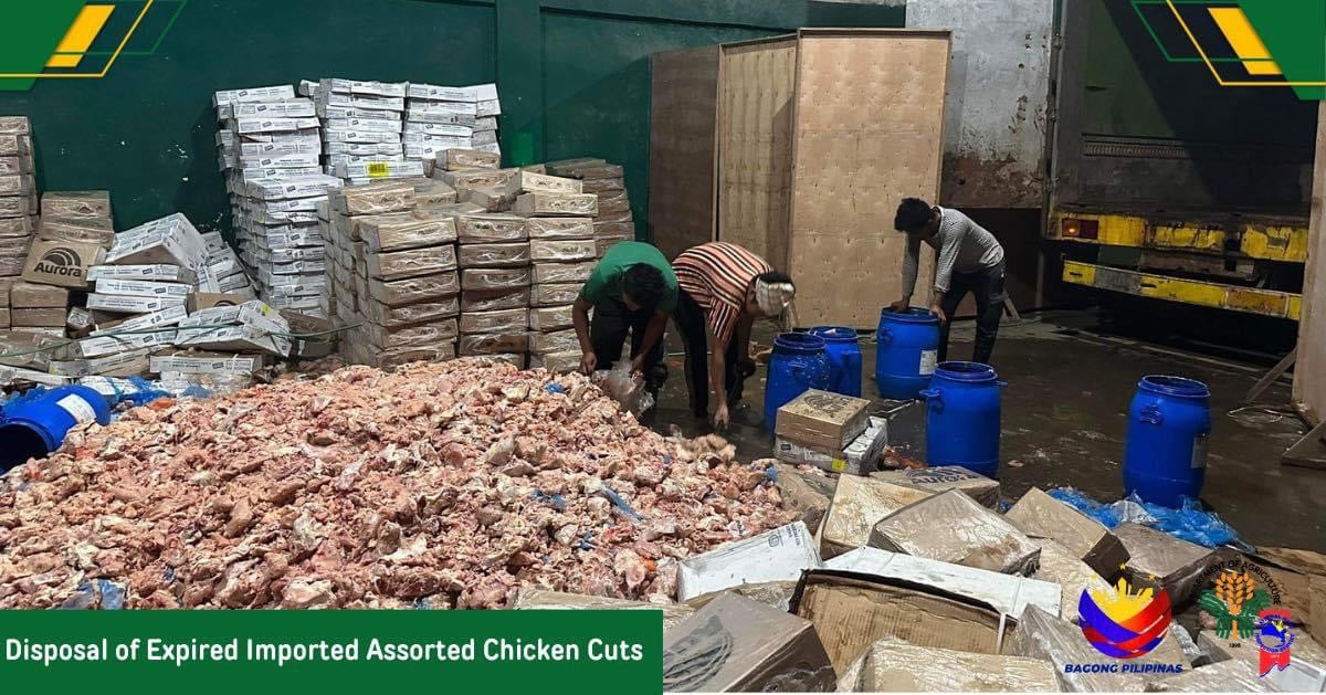 NMIS-Davao Disposes 21,870kg Expired Imported Chicken Meat - Philippine ...