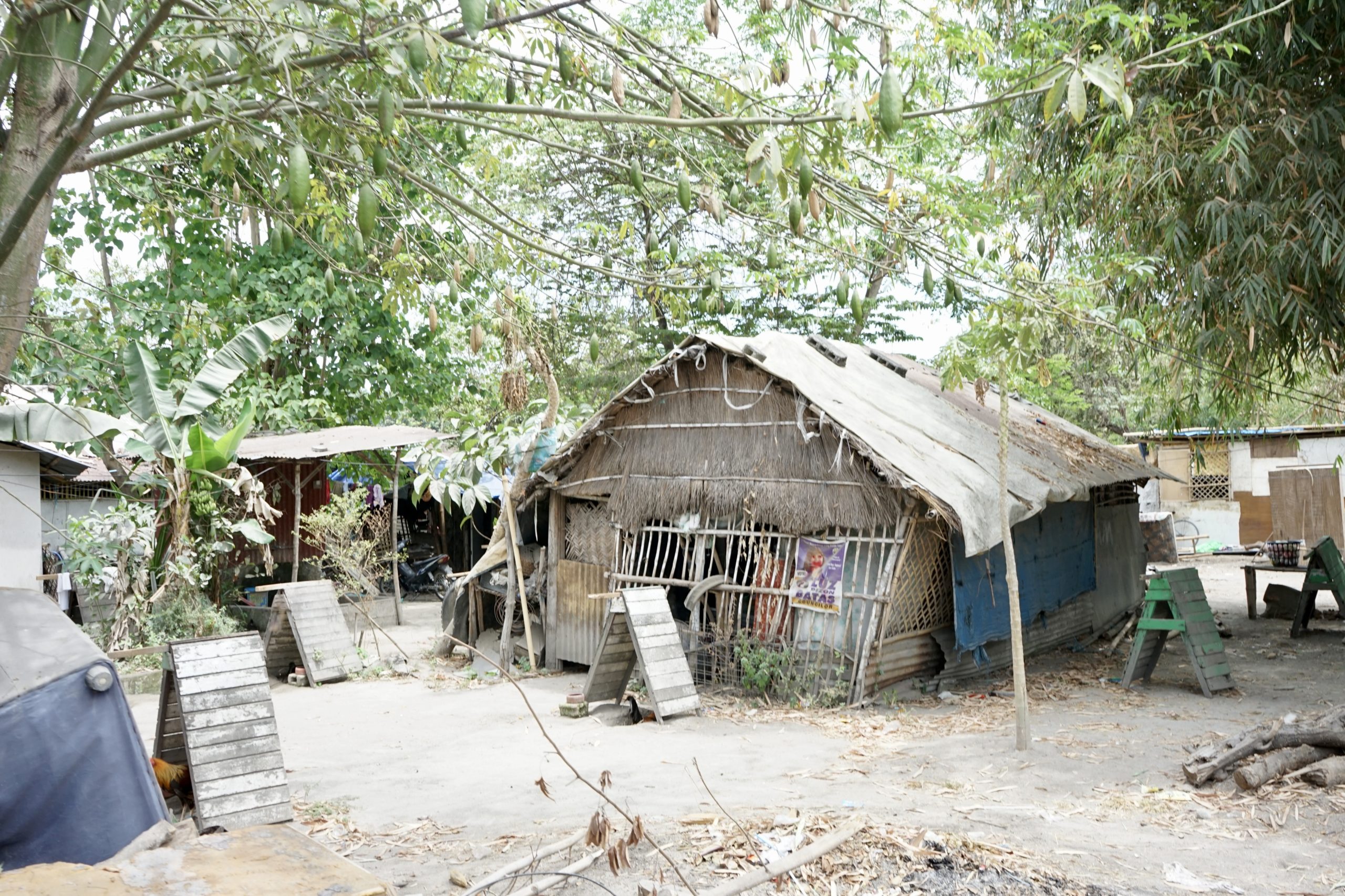 Delta helps 64 displaced families - Philippine Daily Post