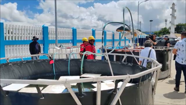 PCG holds simulation of siphoning operation for MT Terra Nova ...