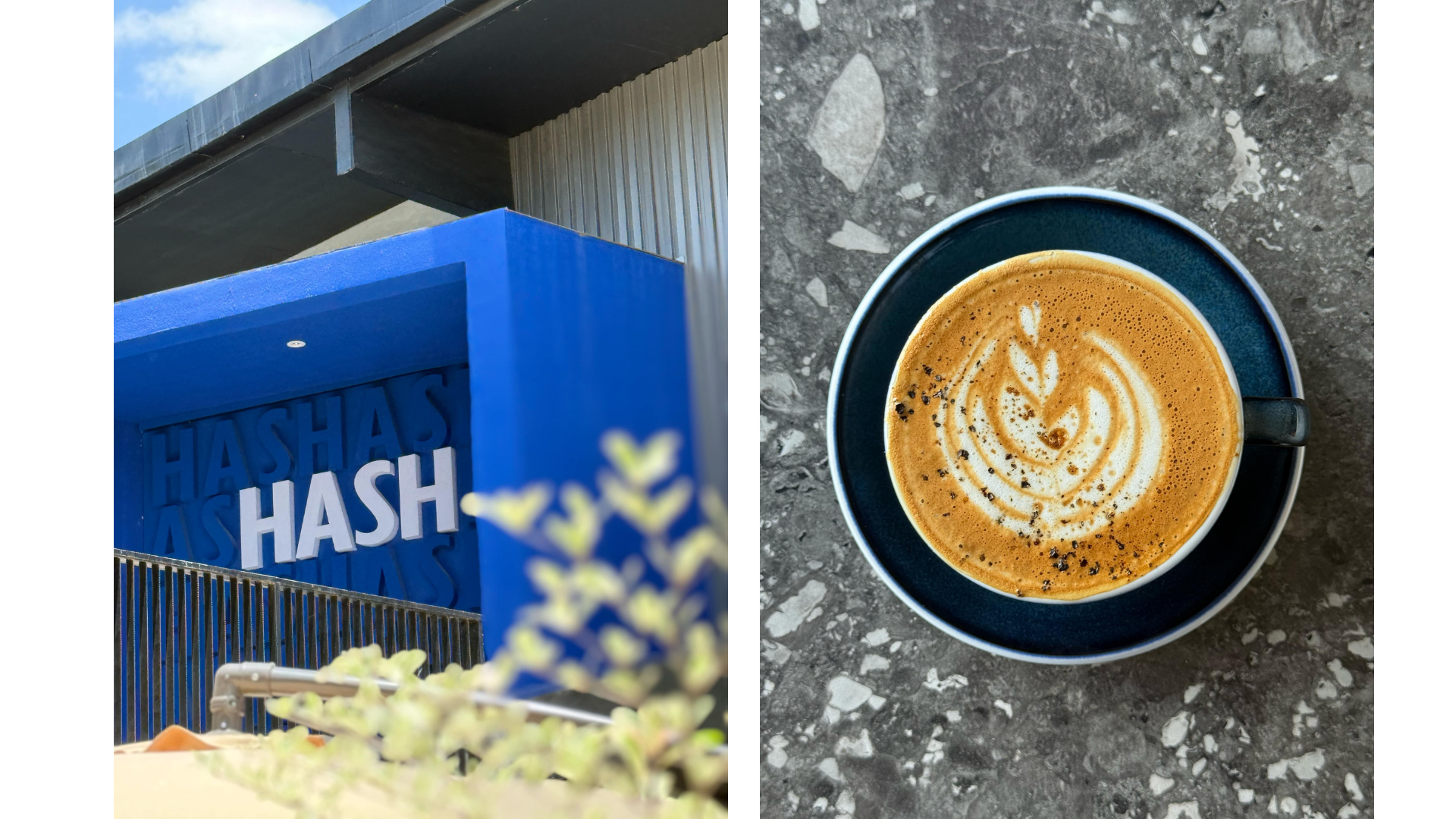 Hash Commons now brewing in CSFP Where good food, great coffee, and ...