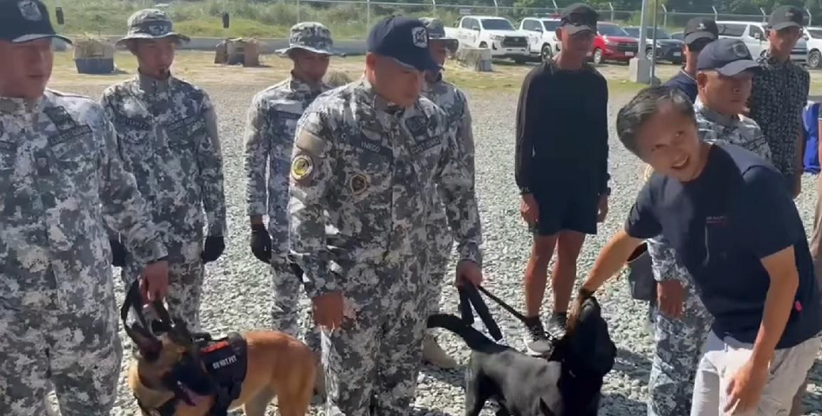 More K9 units to be deployed in MRT-3, LRT stations —DOTr - Philippine ...