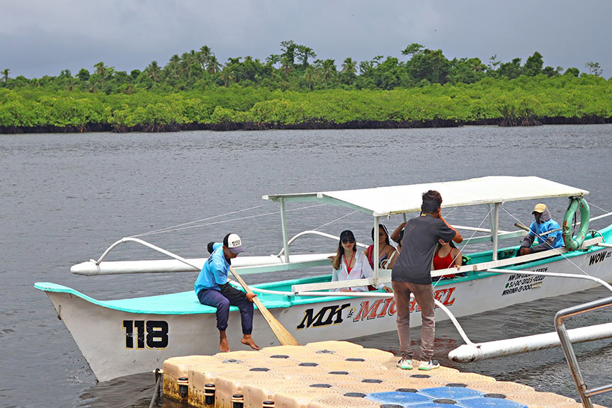 Restored Mangrove Forest Transforms into Tourist Haven - Philippine Daily Post
