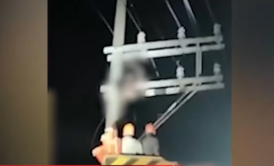 Man, 39, dies trying to steal electric cables in Parañaque City ...